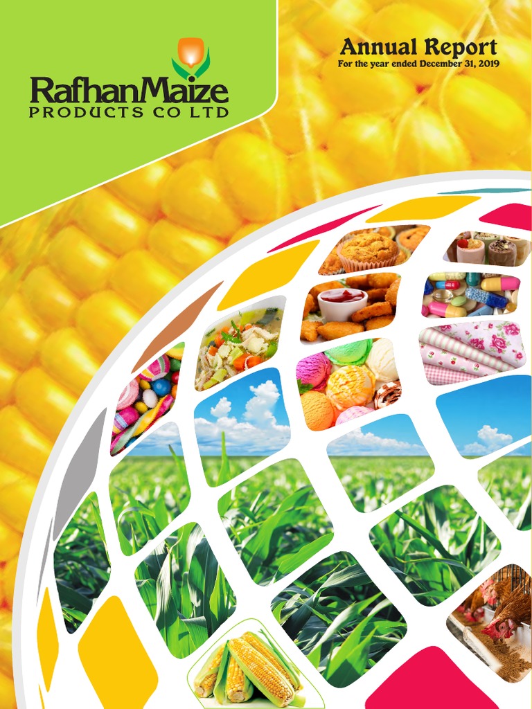 Rafan Maize | PDF | Dividend | Taxes