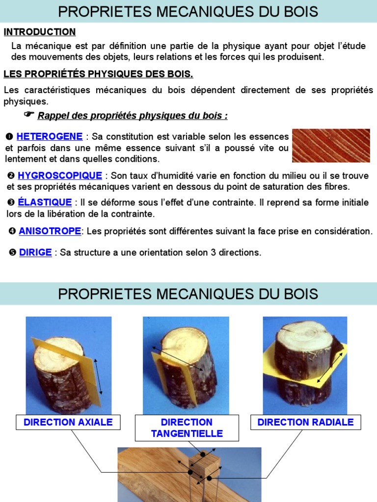 Proprietes Mecaniques Du Bois | PDF