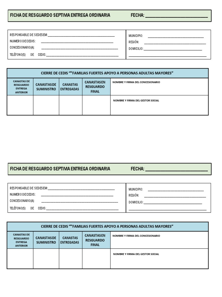 Ficha de Resguardo Séptima Entrega | PDF