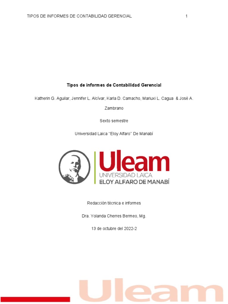 Tipos de Informes de Contabilidad | PDF