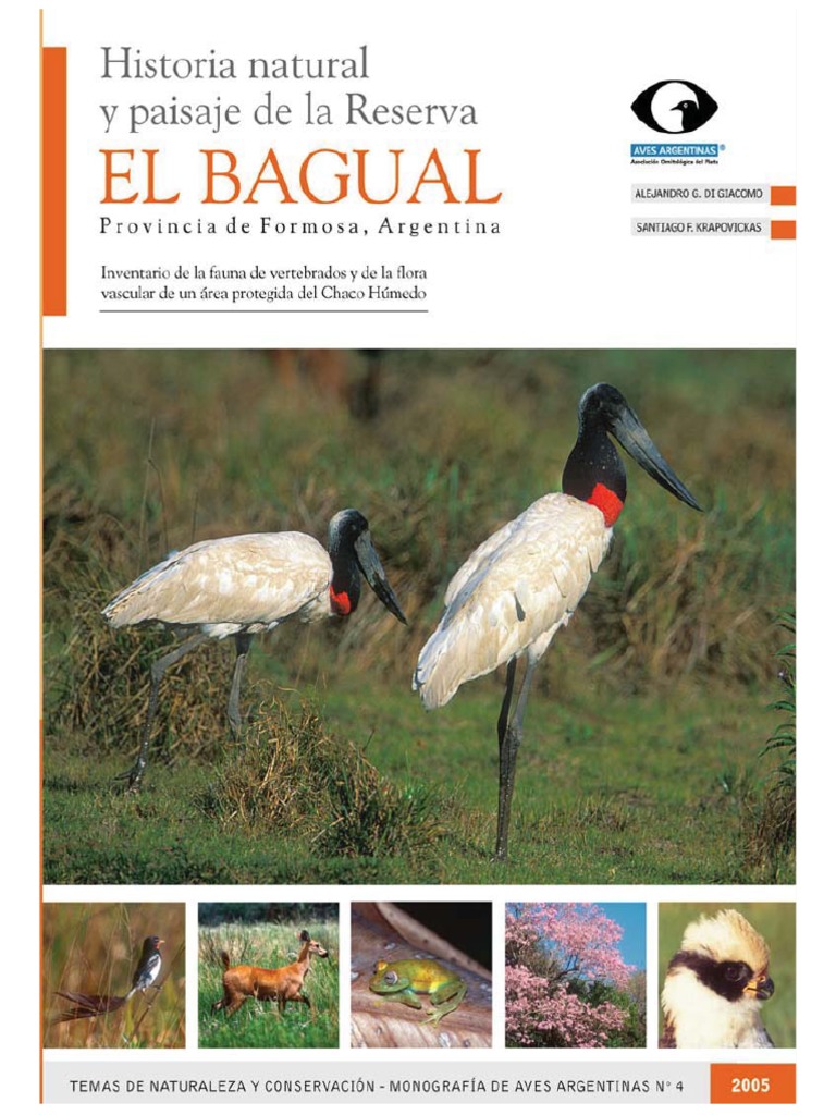 El Bagual Completo Part 2 | PDF