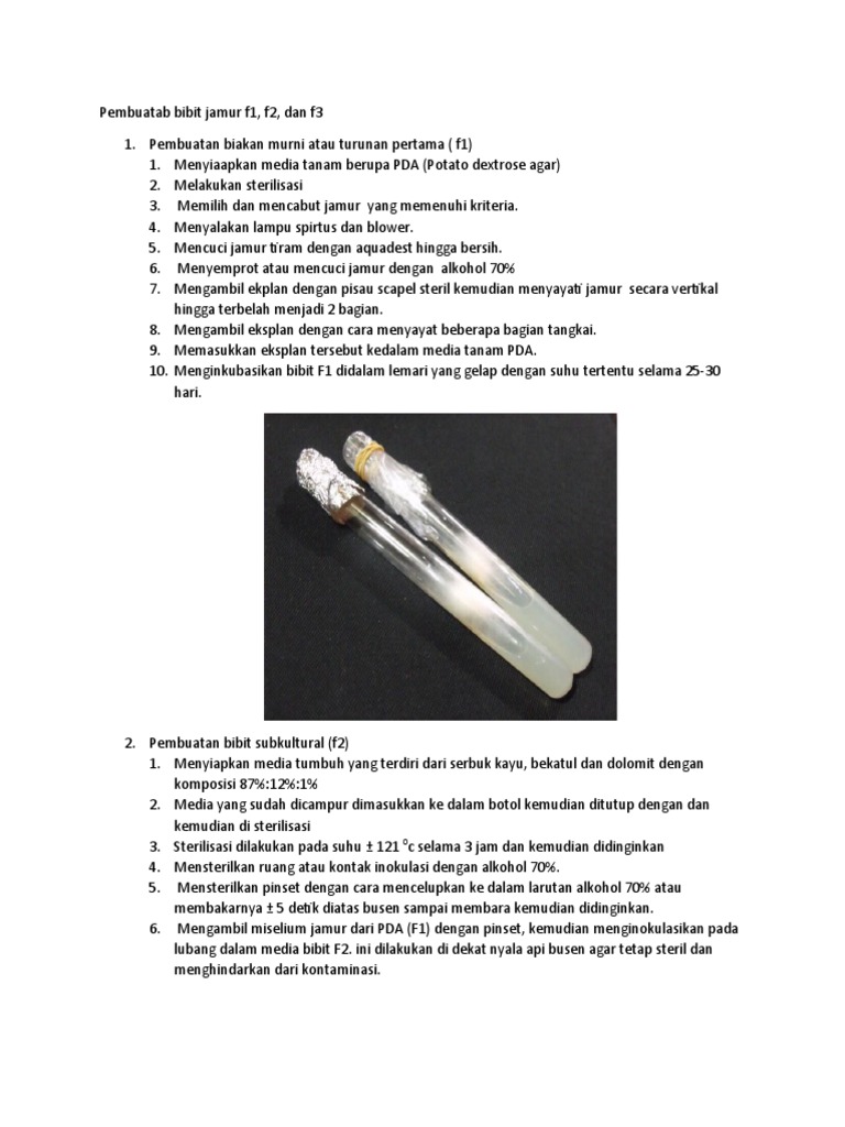 Pembuatab Bibit Jamur Untuk PTT | PDF