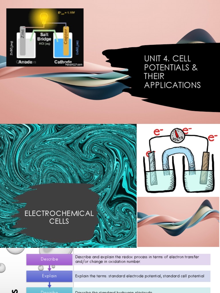 Electrochemical Cells: Types & Functions | PDF | Electrochemistry | Redox