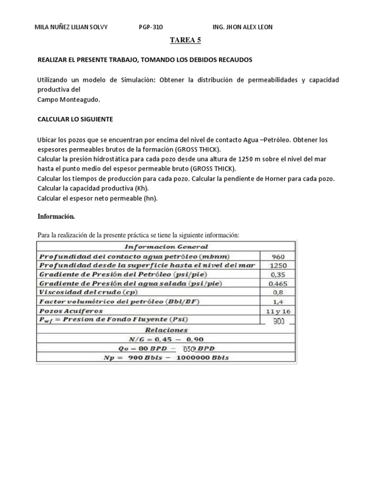 Tarea 52022 | PDF | Líquidos | Materiales