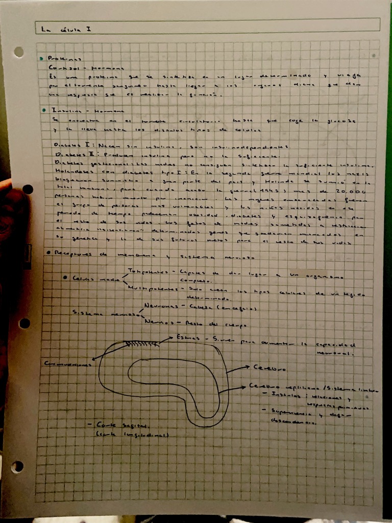 Biología 3 Eso | PDF