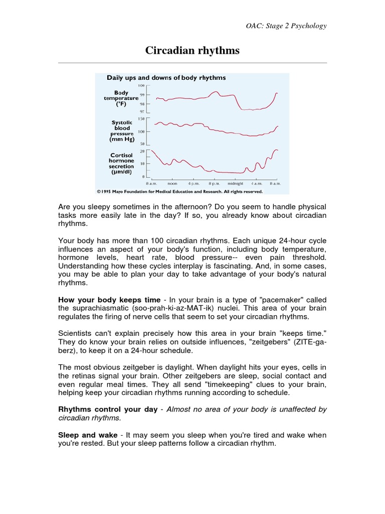 Circadian Rhythms | PDF | Circadian Rhythm | Sleep
