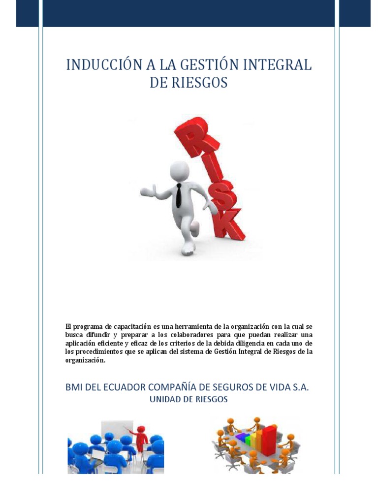 Inducción a Gestión de Riesgos | PDF | Riesgo | Reaseguro