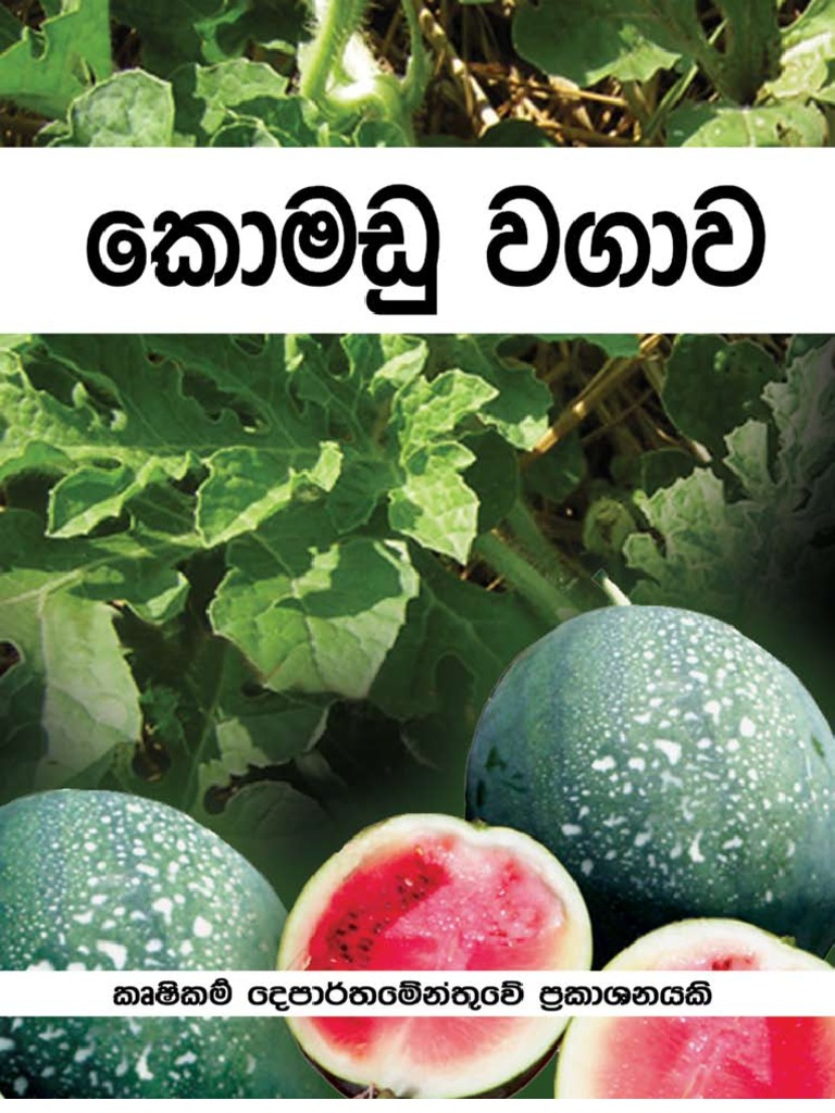Komadu | PDF