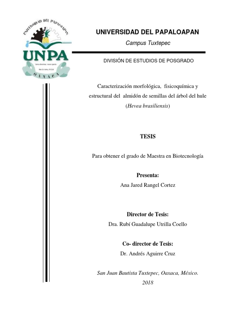 MB42-Ana Jared Rangel Cortez | PDF | Almidón | Cristal