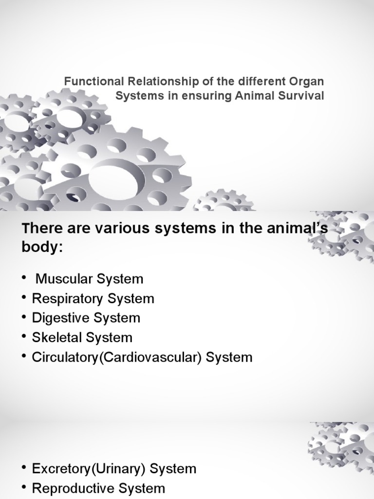 Organ Systems and Animal Survival | PDF | Human Body | Blood
