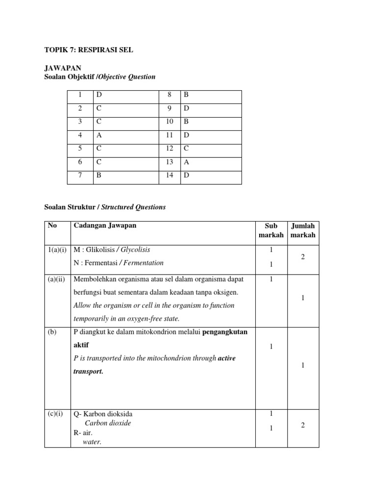 Jawapan Latihan Bab 7 | PDF | Sains & Matematika