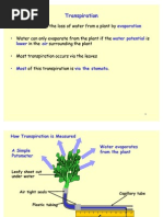 Lesson Plan For Reproduction in Plants | PDF | Pollination | Flowers