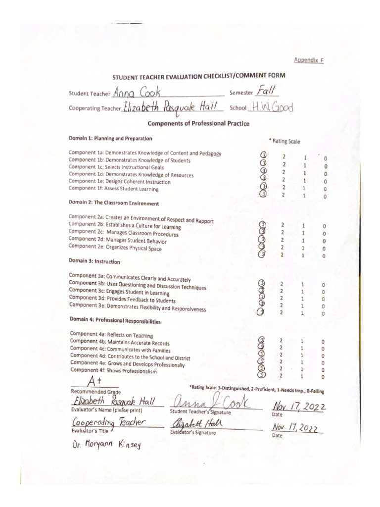 Student Teacher Anna Cook | PDF