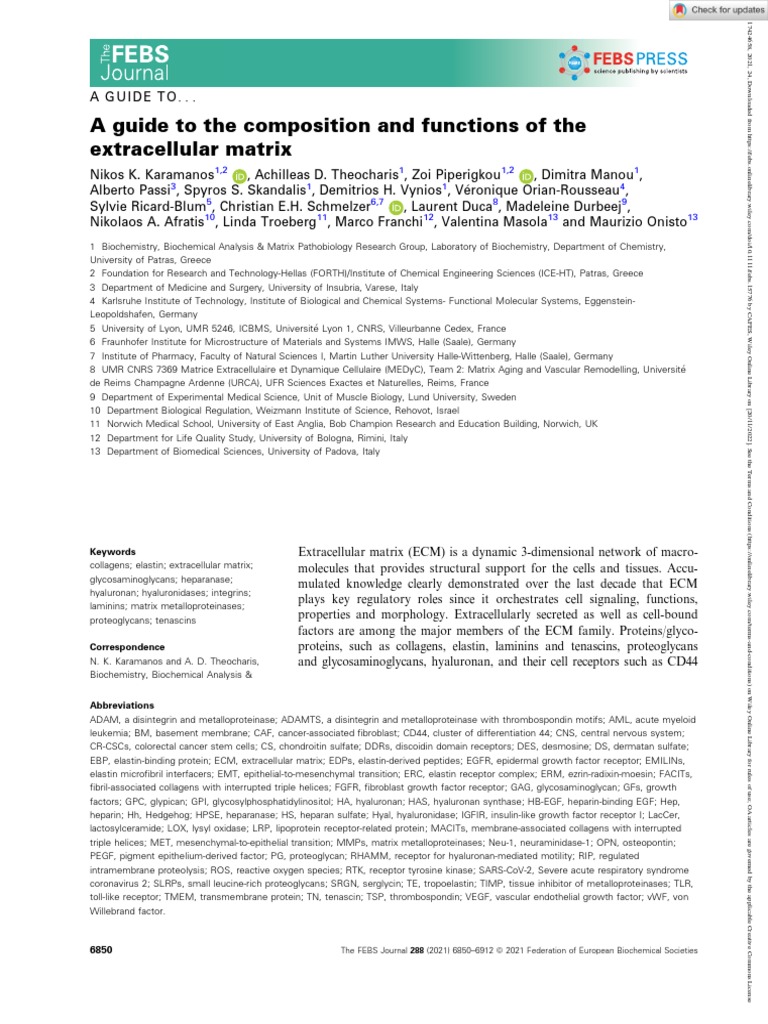An In-Depth Review of the Composition, Structure, and Functions of the Extracellular Matrix and ...