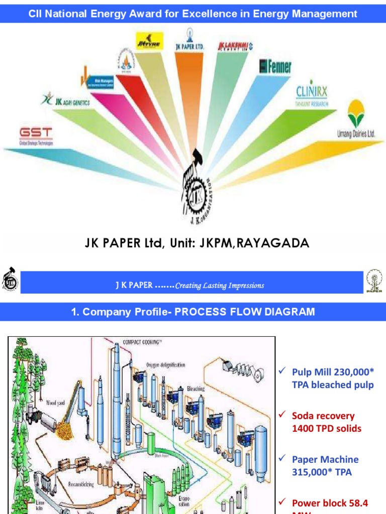 JK Papr Limited, JKPM, Rayagada | PDF