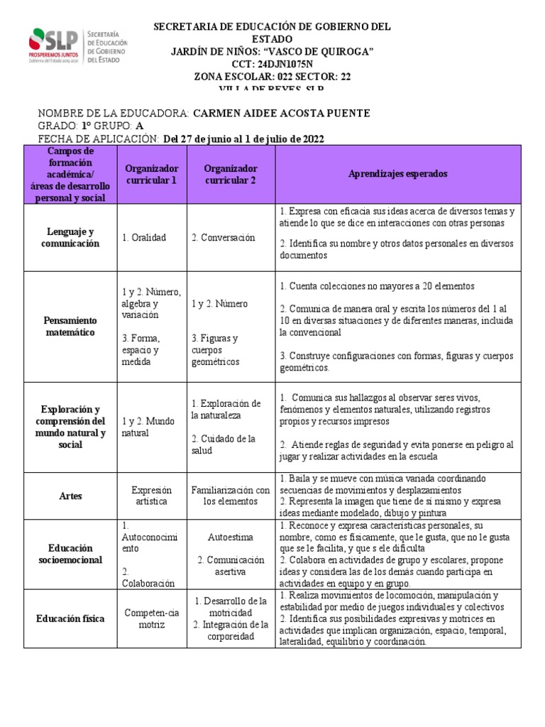 Plan Diagnóstico | PDF