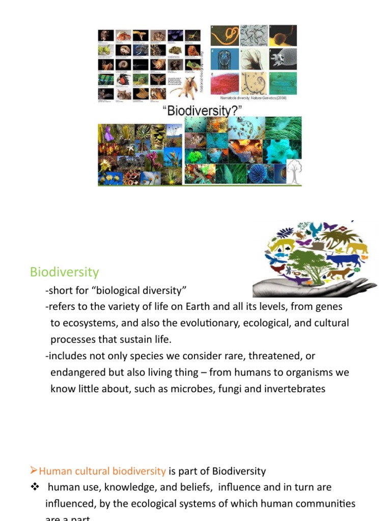 Biodiversity Notes | Download Free PDF | Biodiversity | Invasive Species