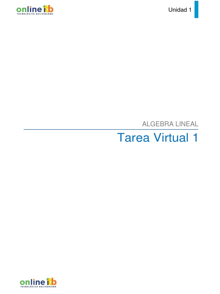 Orientaciones para La Tarea Virtual 1 | PDF
