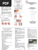 6-4 Grupo 1 Clasificación de Dewey y Anderson | PDF | Anatomia dental ...