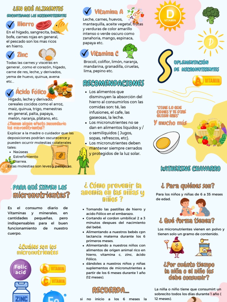 Suplementación de Micronutrientes | PDF | Micronutrientes | Vitamina