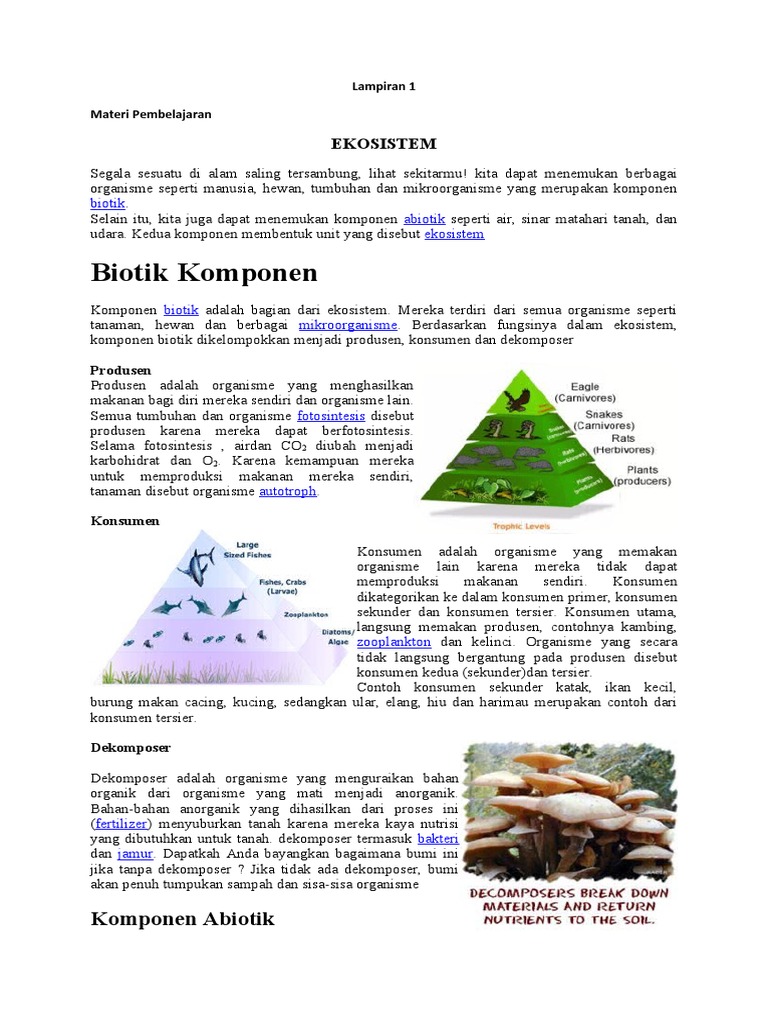 Memahami Komponen Ekosistem Biotik dan Abiotik | PDF | Griya & Taman
