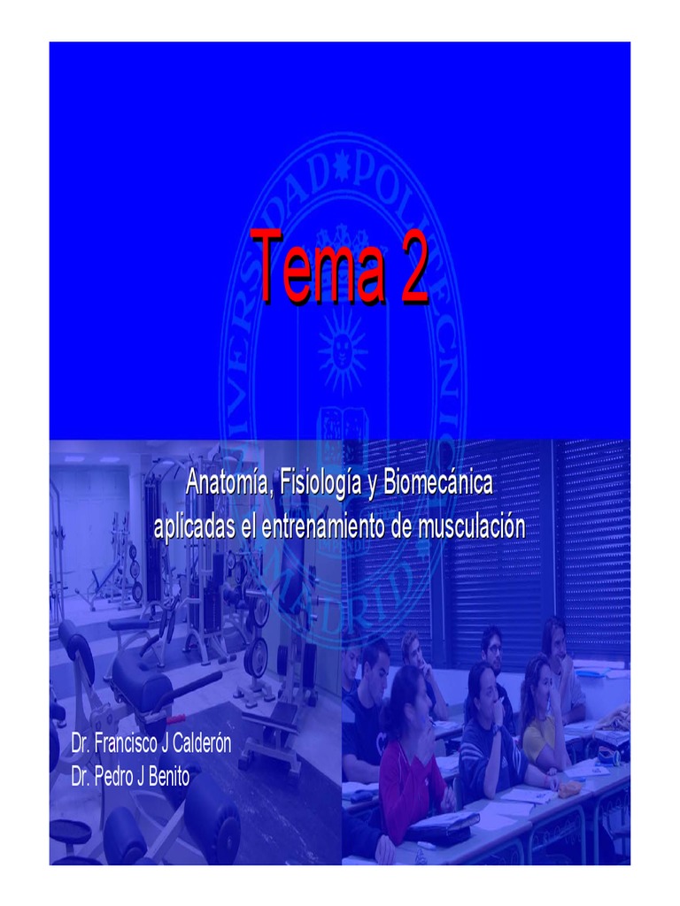 Biomecánica Pedro J Benito | PDF | Palanca | Rodilla