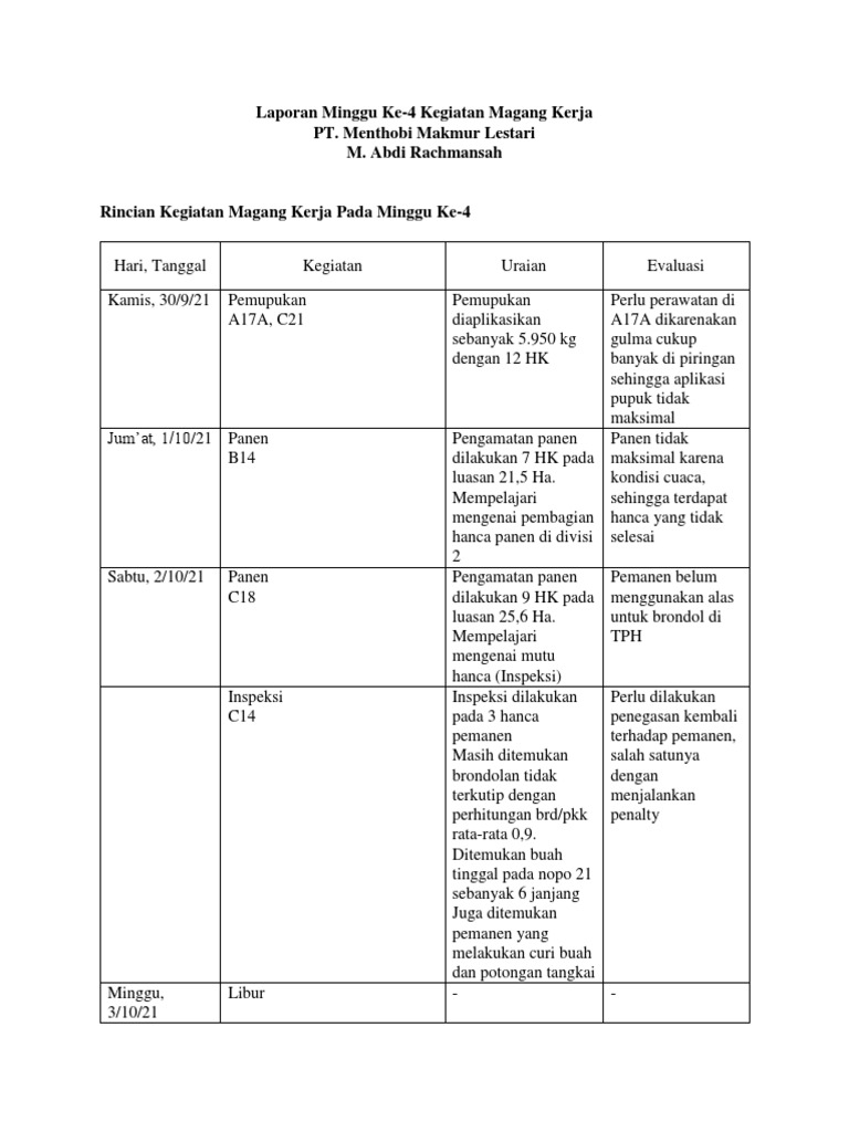 Laporan Magang Minggu Ke-4 | PDF