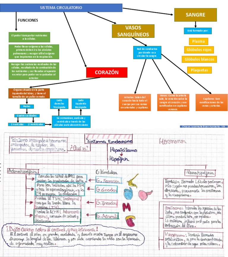 PC 2 Actividad 2 MAPAS CONCEPTUALES | PDF