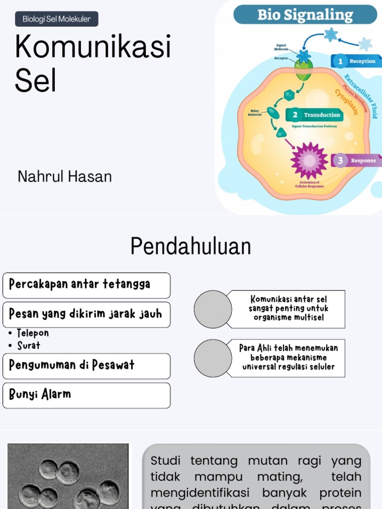 Komunikasi Sel | PDF