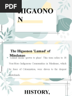 Higaonon Tribe: Culture and Attire | PDF | Agriculture | Rituals