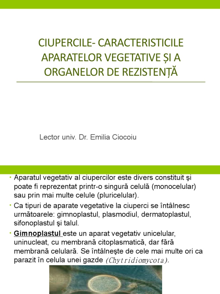 Ciupercile - Caracteristicile Aparatelor Vegetative Si A Organelor de Rezistenta | PDF