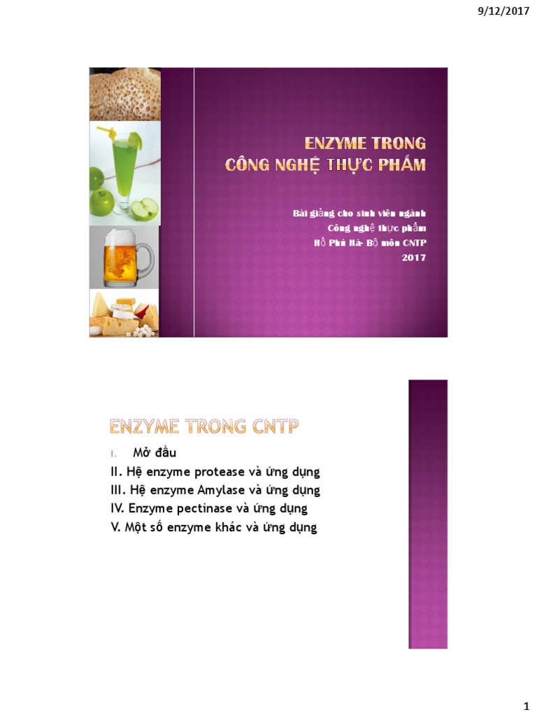 Enzyme Trong CNTP. Ha 1 | PDF