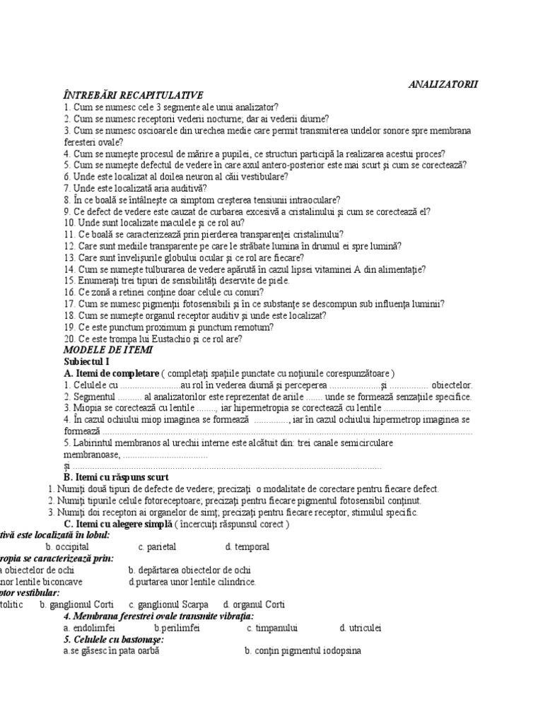 Fisa Lectia 2 - ANALIZATORII | PDF