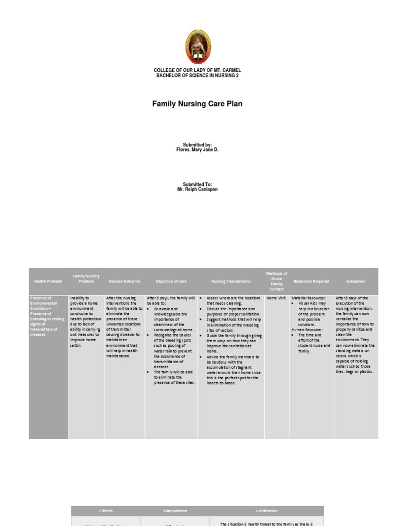 Family Nursing Care Plan Overview | PDF | Nursing | Risk