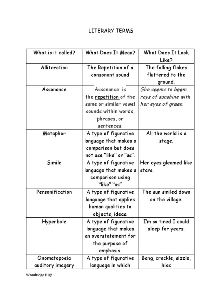 Literary Terms Explained | PDF | Poetry | Phonaesthetics