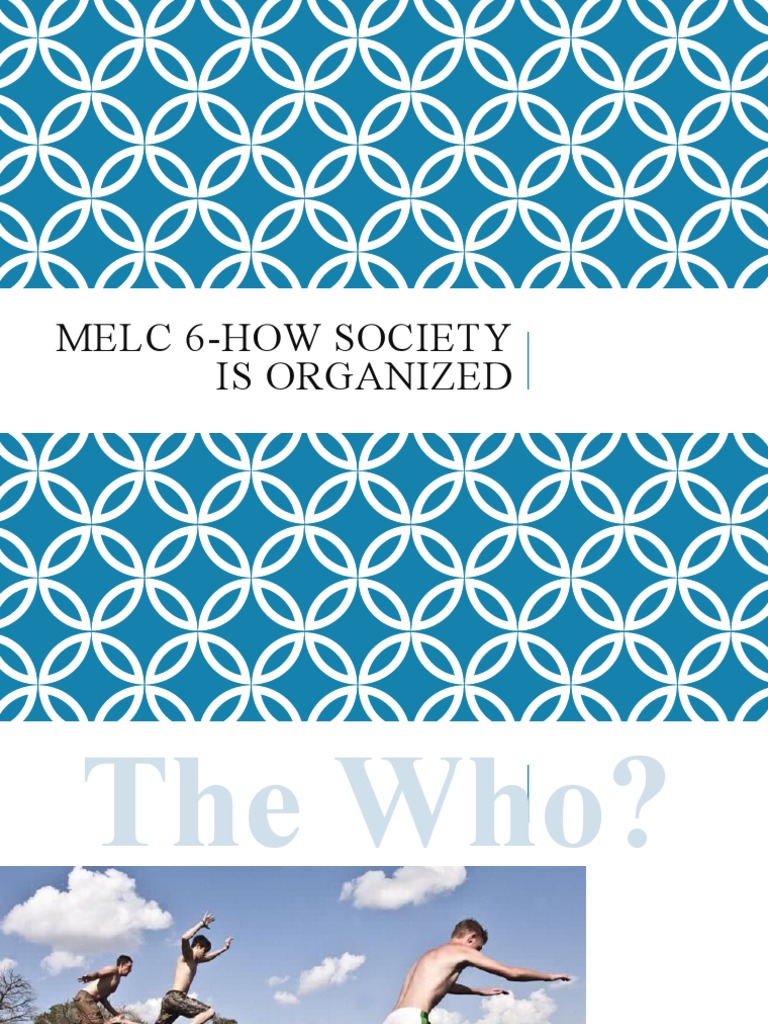 How Society Is Organized | PDF | Cognitive Science | Social Psychology