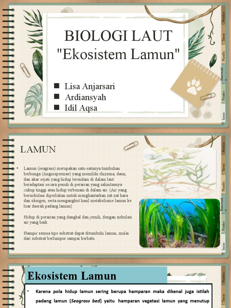 Biologi Laut (Ekosistem Lamun) | PDF