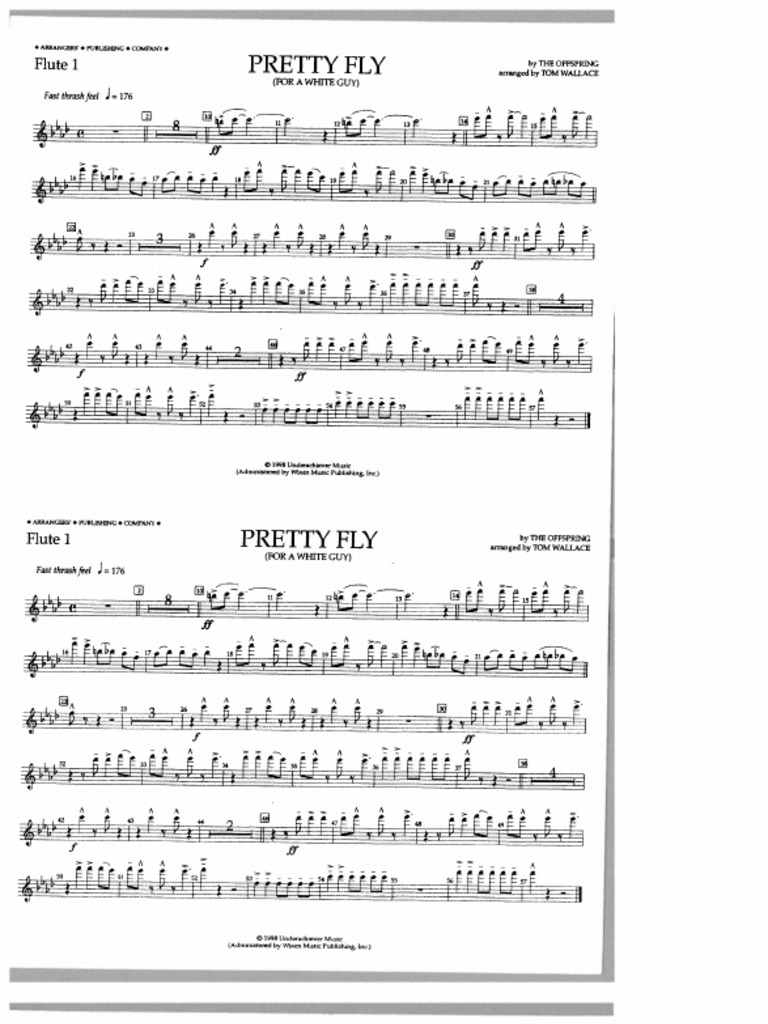 Pretty Fly For A White Guy | PDF