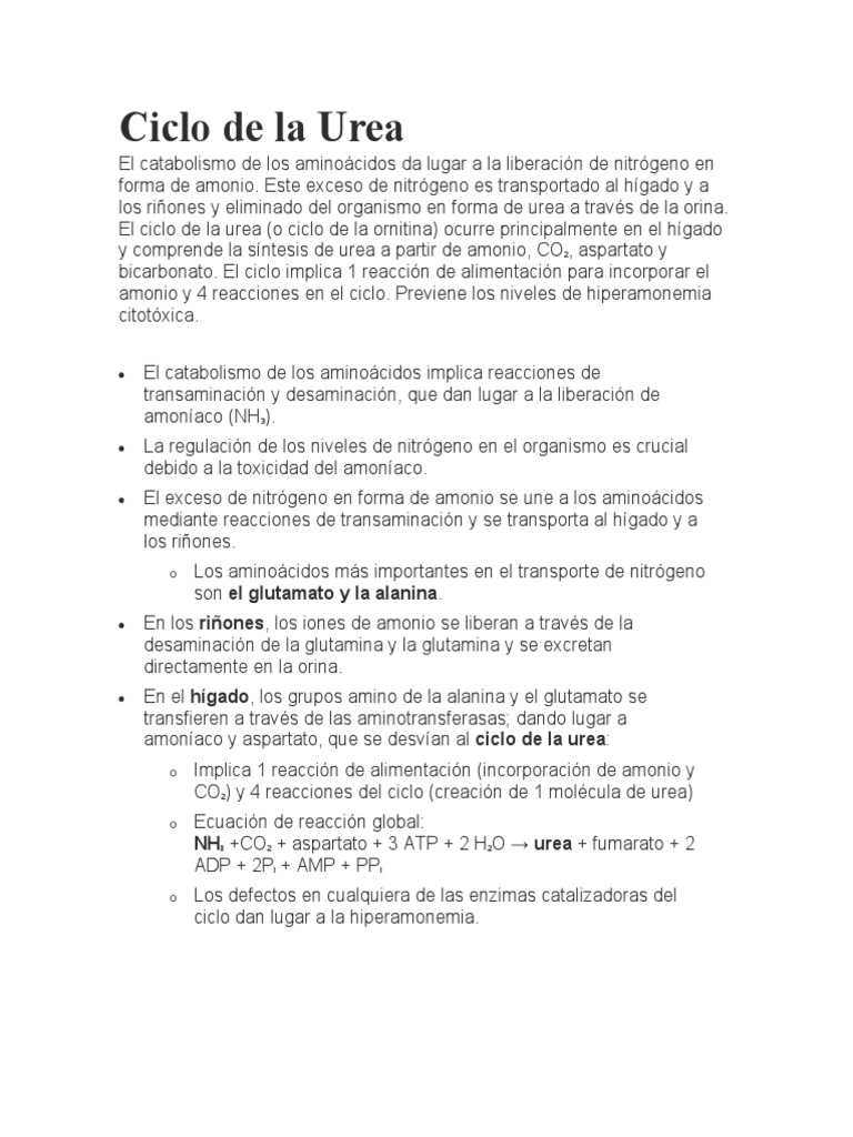 Ciclo de la Urea y Transporte de Nitrógeno | PDF | Salud y bienestar | Tecnología