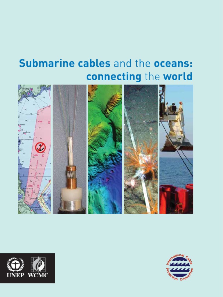 Icpc Unep Report | PDF