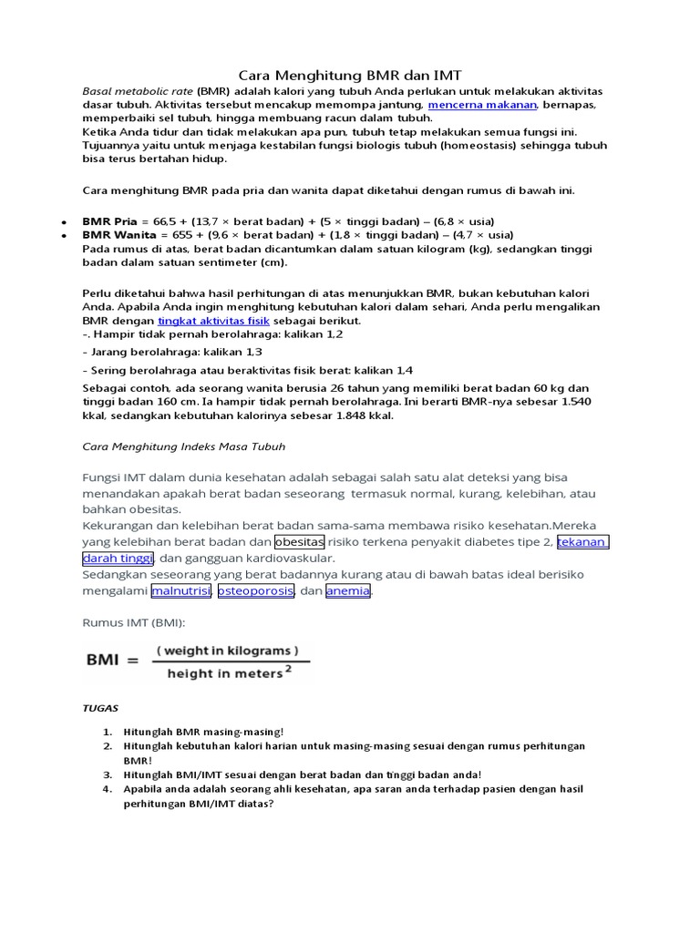 Cara Menghitung BMR Dan IMT | PDF