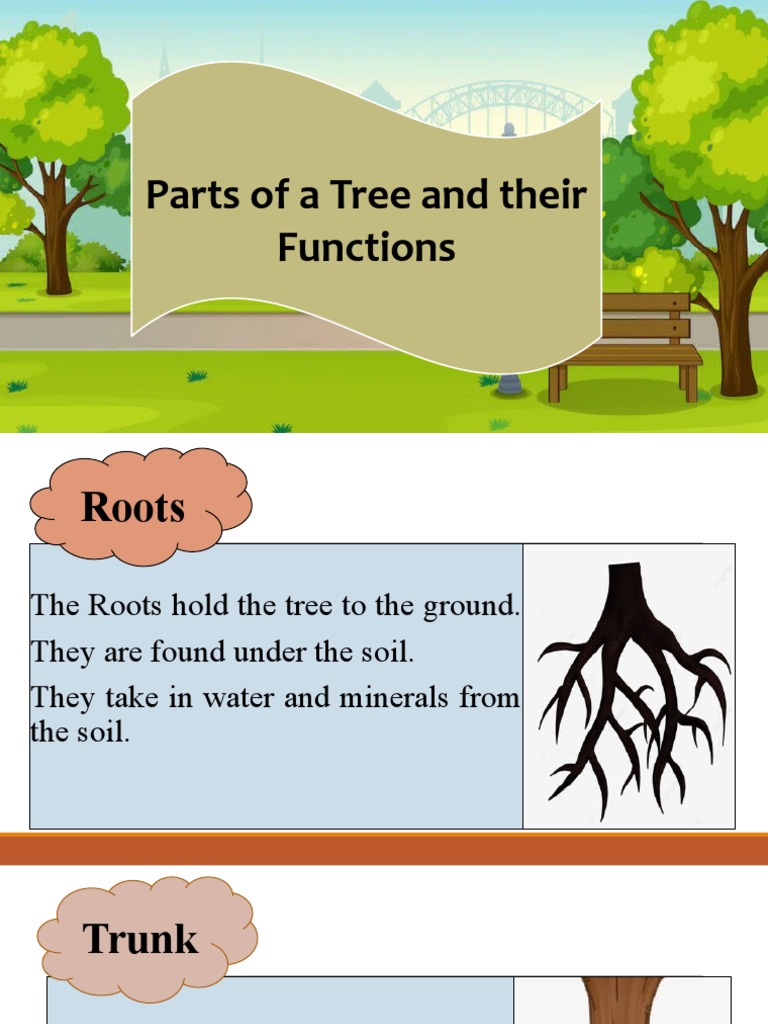 Parts of A Tree | PDF