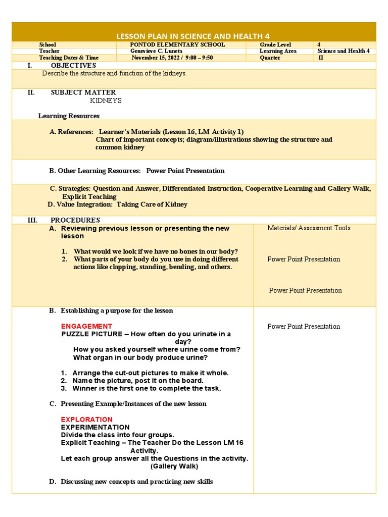 Lesson Plan-Cot-Mtb | PDF