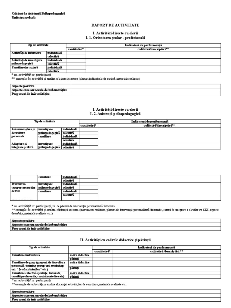 Structura - Raport Semestrial Sau Anual | PDF