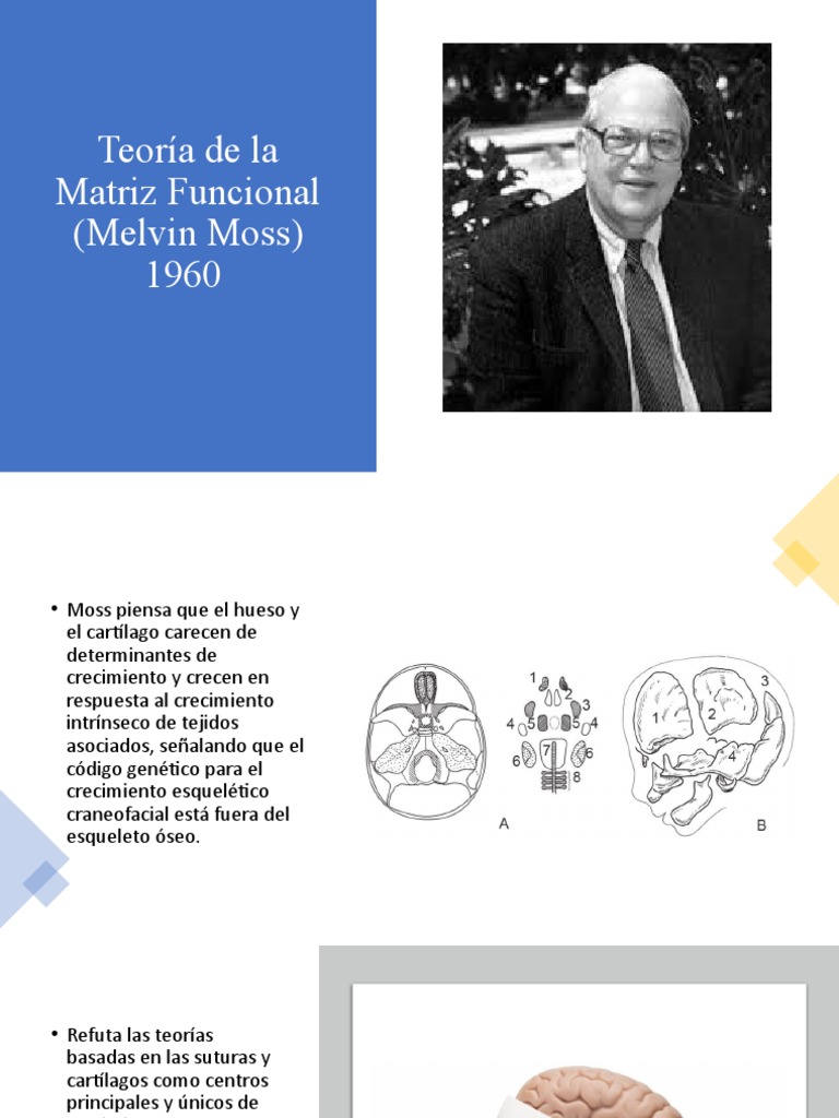 Teoría de Moss | PDF