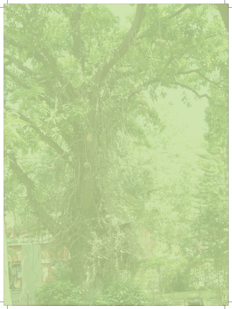 Heritage Trees | PDF