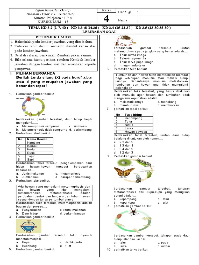 Soal Ipa 4 | PDF