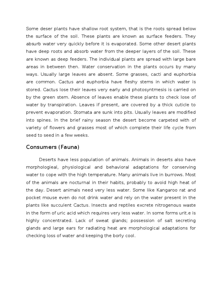 English Data | PDF