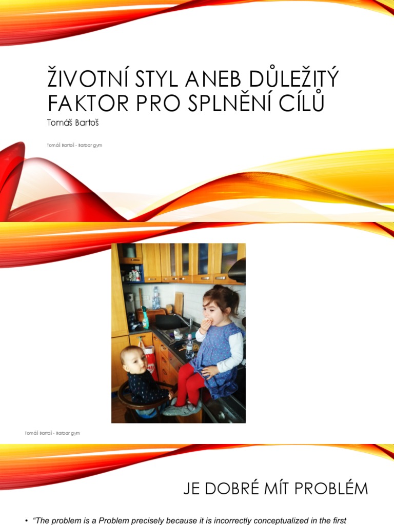 Imv Kurz Otp Bartos Zivotni Styl | PDF