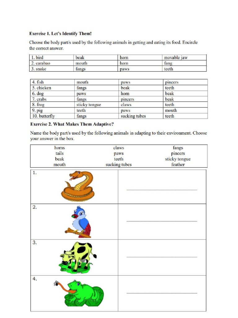 Science 4 Q2 Week2 Worksheet | PDF Science 4 Q2 Week2 Worksheet | PDF